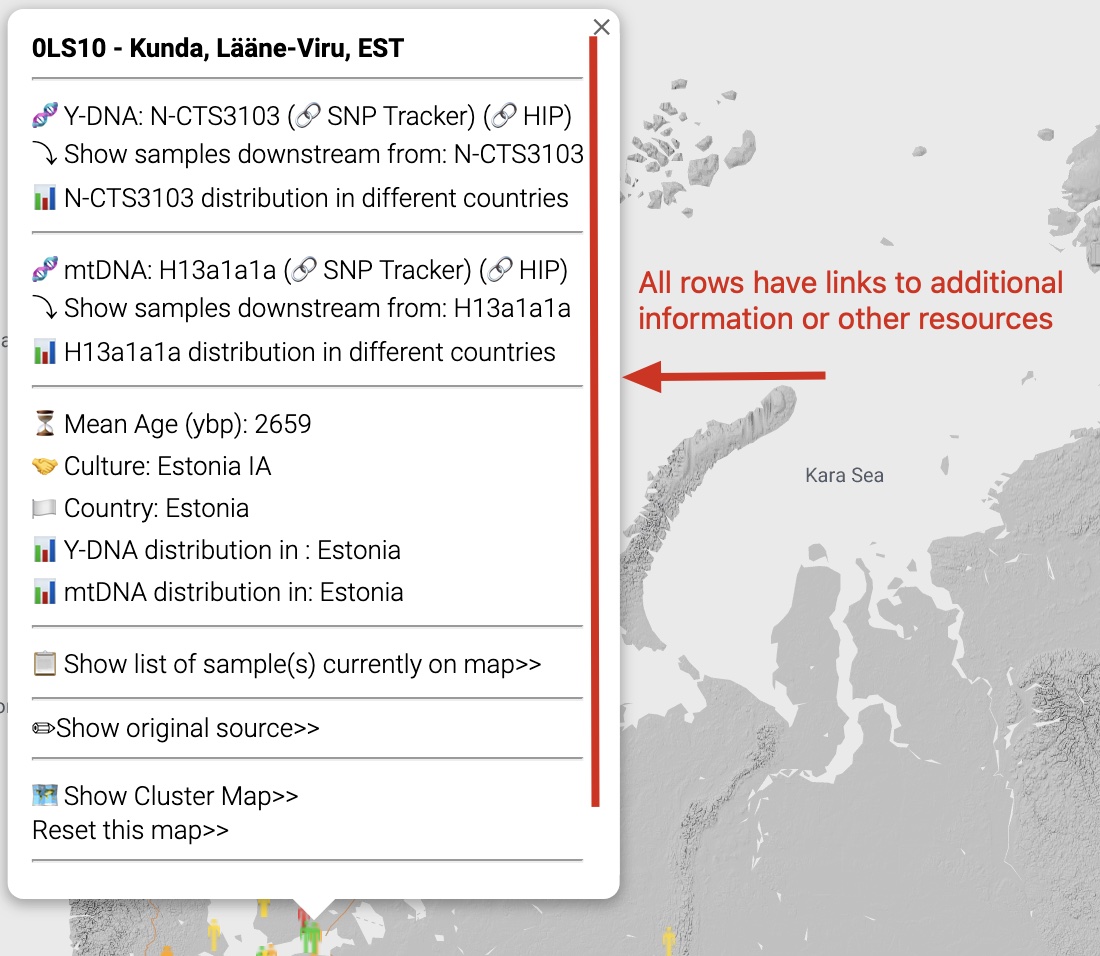 Ancient DNA Map – Visual DNA